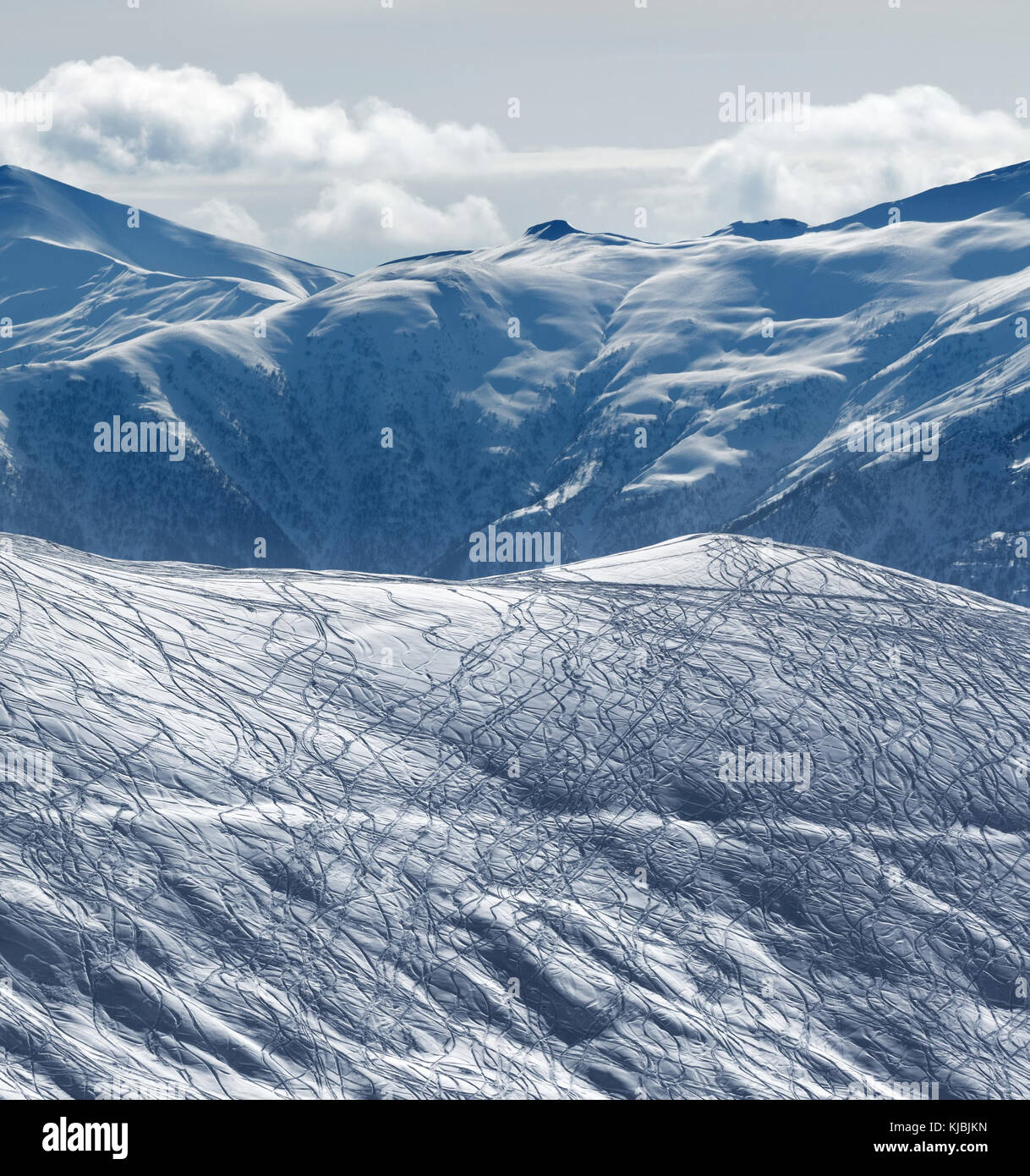 Off-piste slope for freeriding with traces from skis, snowboards and ...