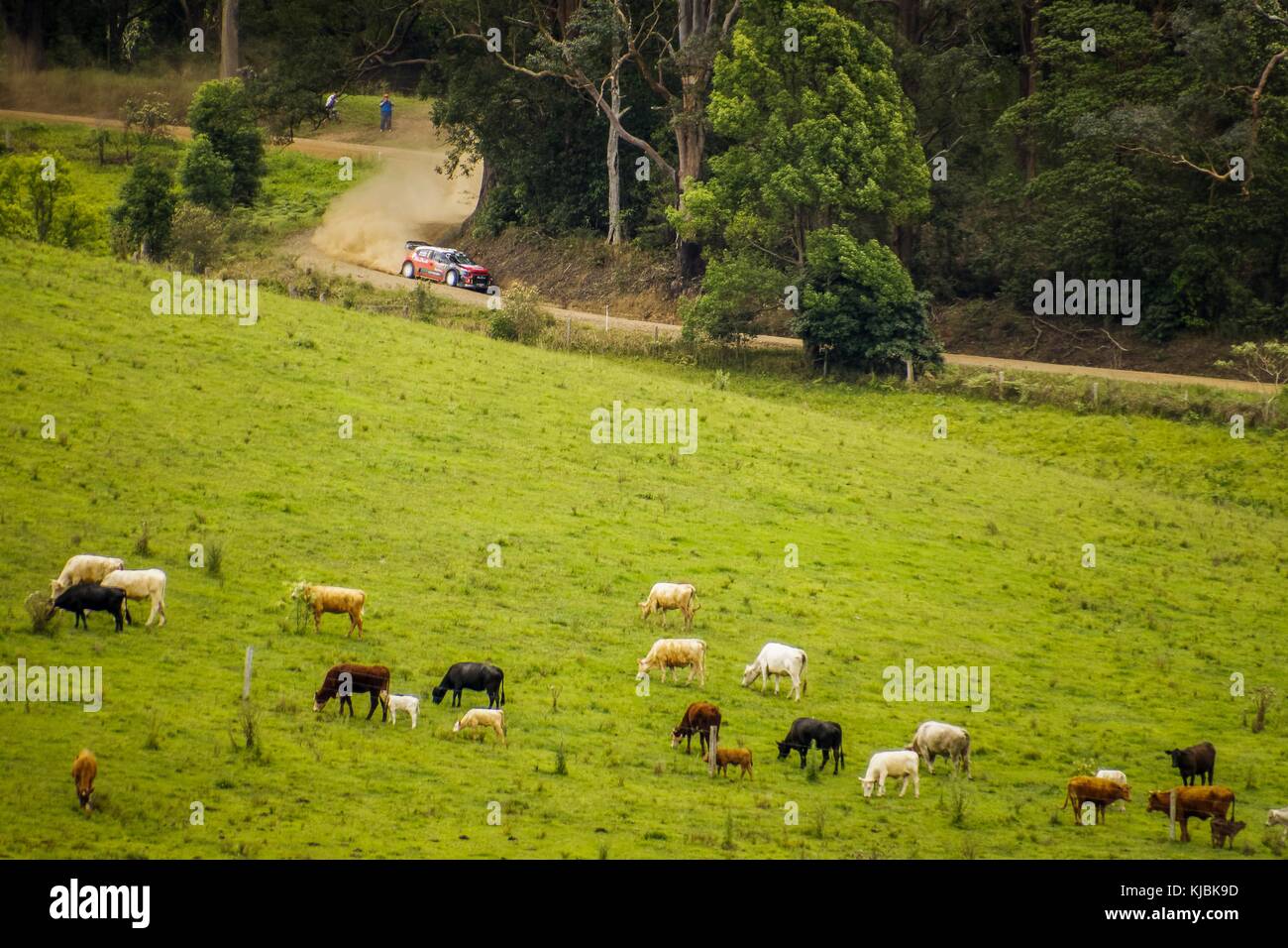 Craig Breen (IRL) and co-driver Scott Martin (GBR) of Citroën World ...