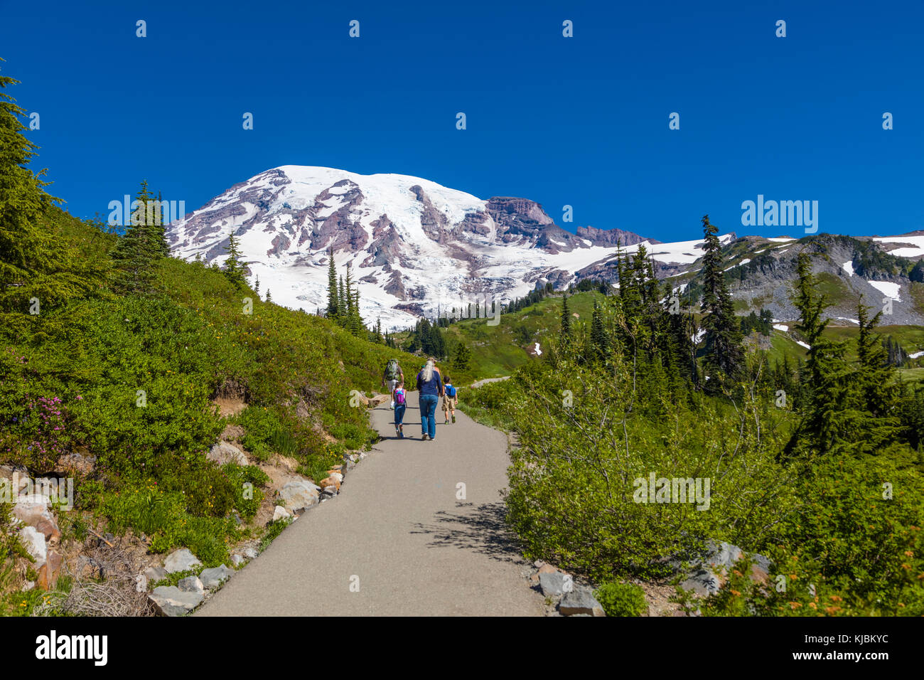 Myrtle falls trail hi-res stock photography and images - Alamy