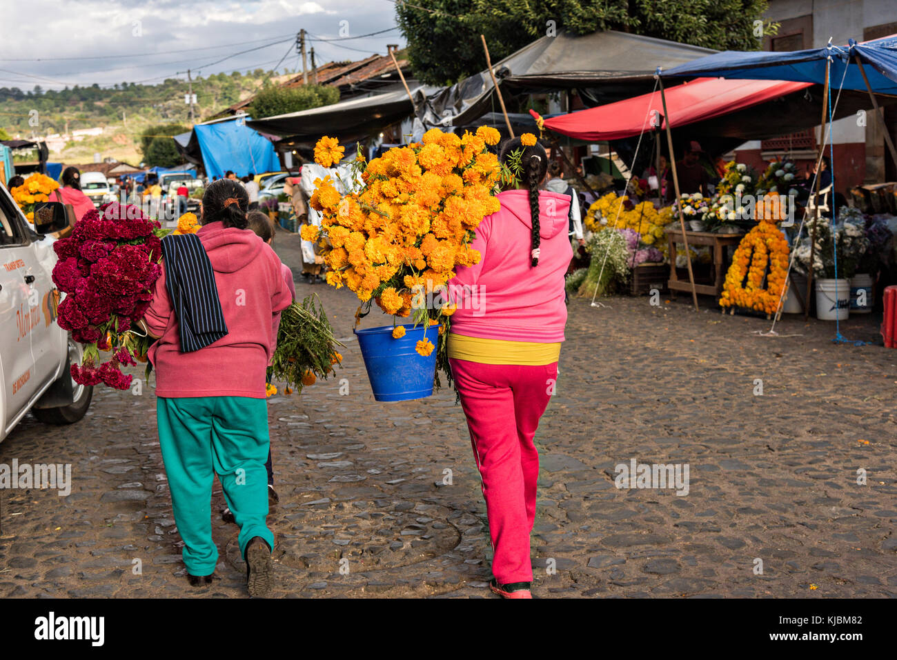 A Mexican family carries bundles of marigolds and cockscomb flowers for ...