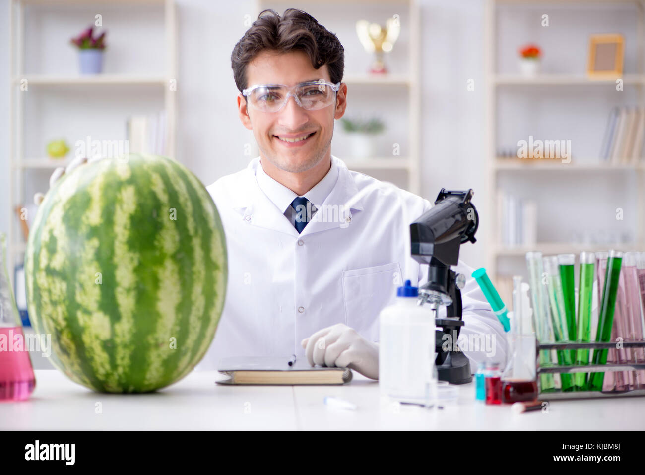 Scientist testing watermelon in lab Stock Photo - Alamy