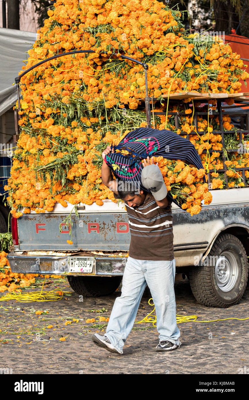 A man carries bundles of colorful marigold flowers on his back for the ...