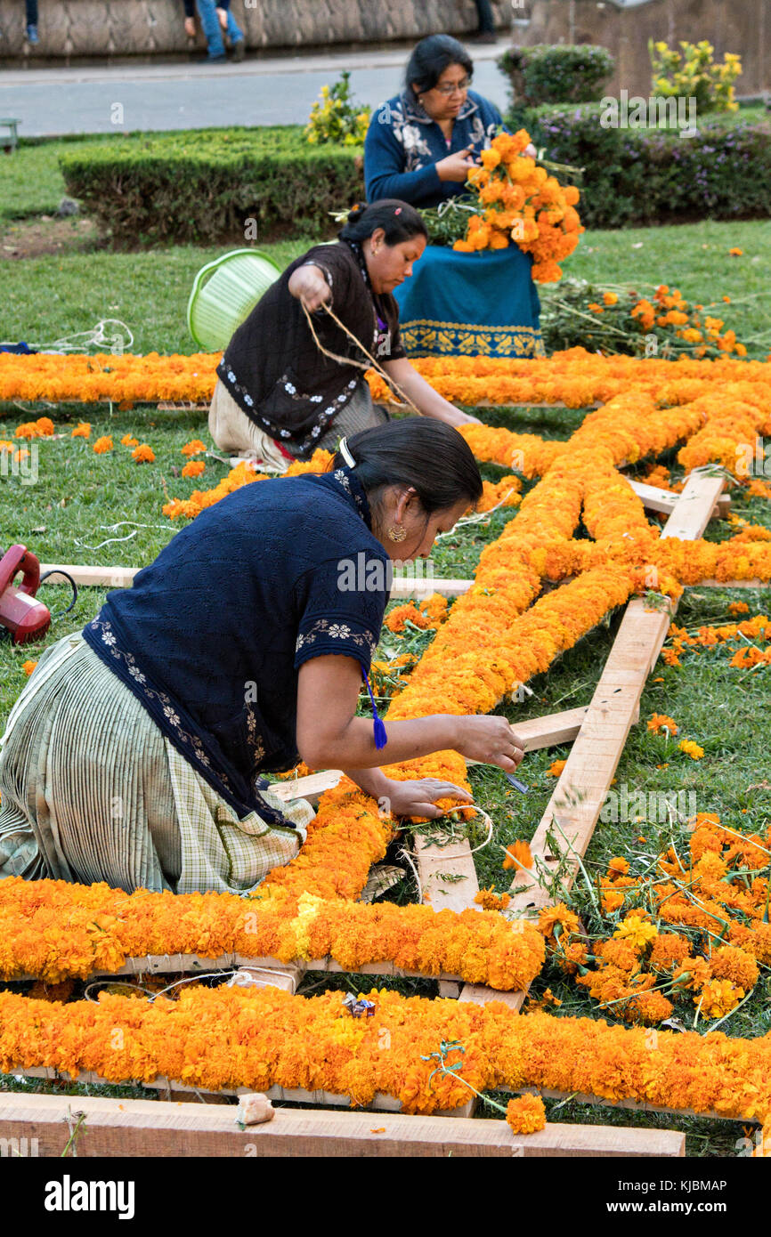 Purepecha indigenous women use colorful marigold flowers to make altars ...