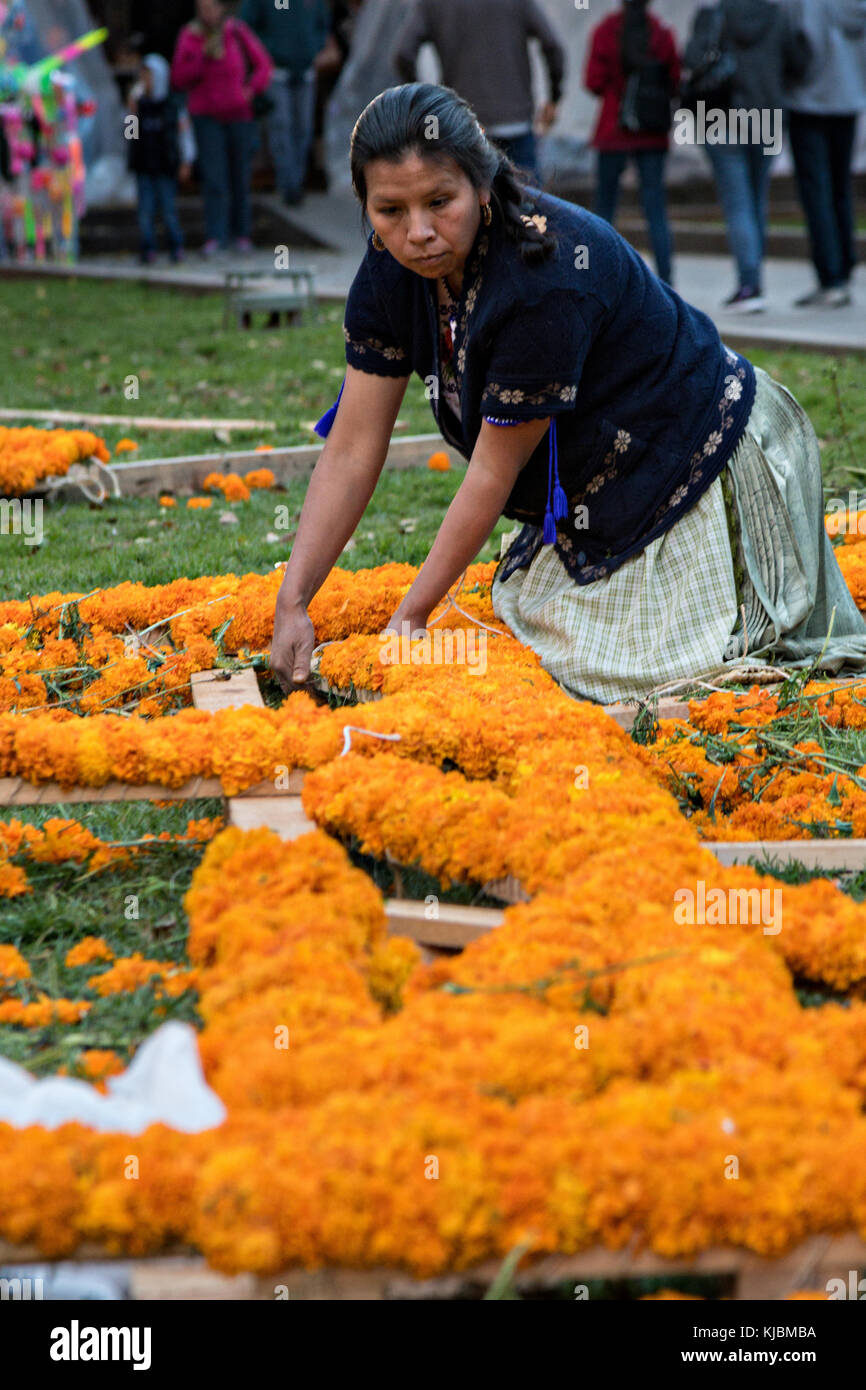 Purepecha indigenous women use colorful marigold flowers to make altars ...