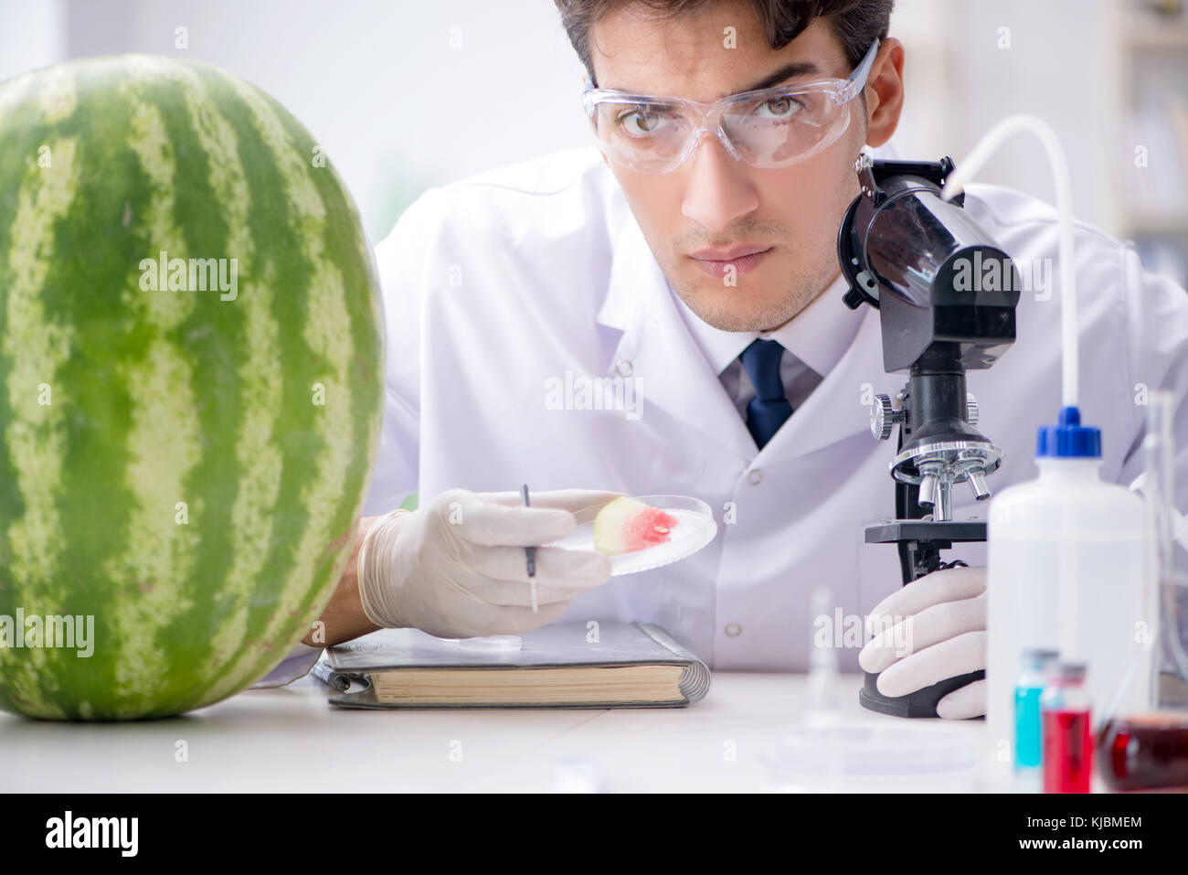Scientist testing watermelon in lab Stock Photo - Alamy