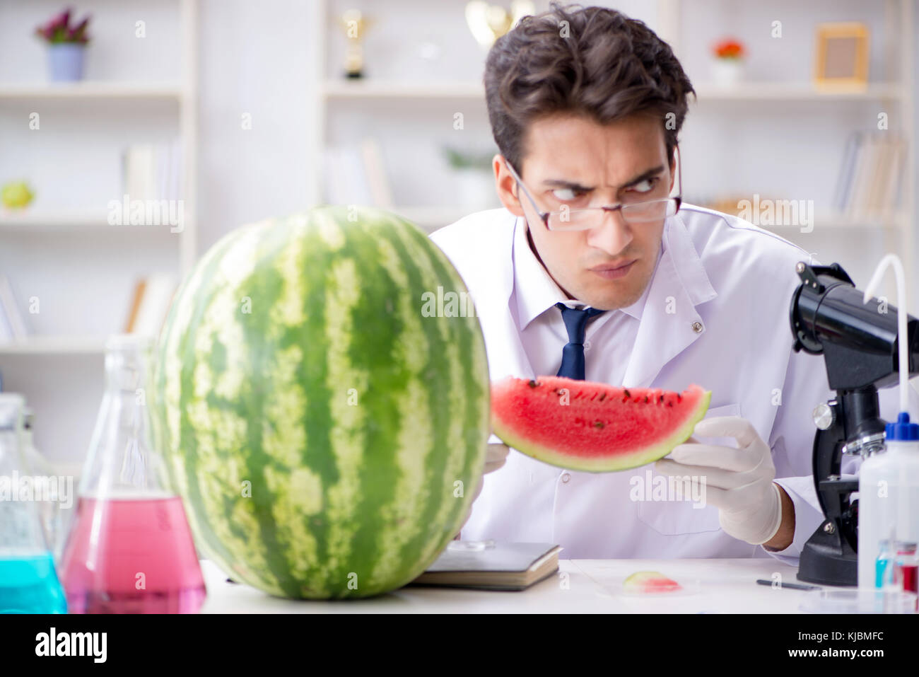 Scientist testing watermelon in lab Stock Photo - Alamy
