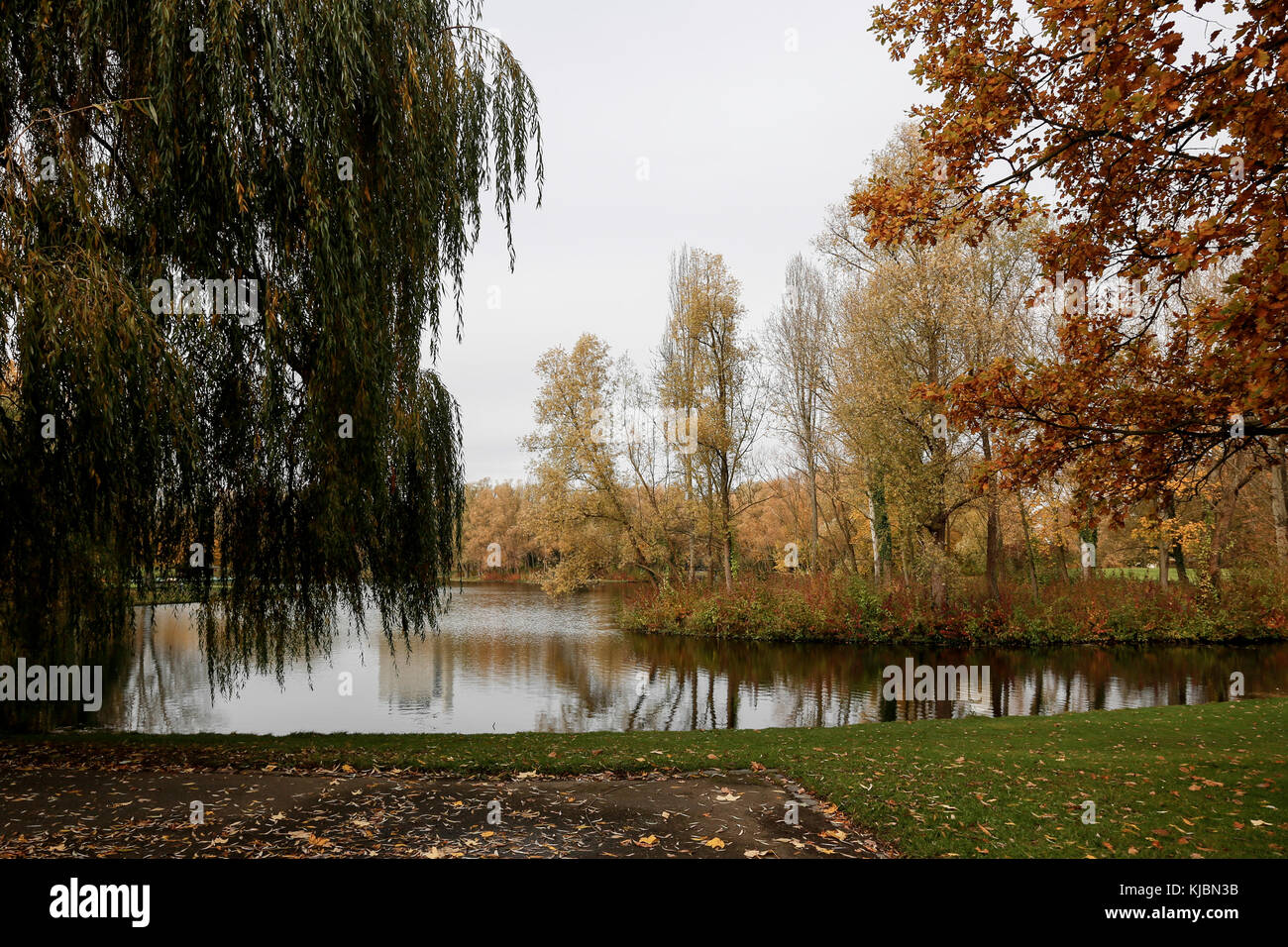 Colorful autumn in Bonn, Germany Stock Photo - Alamy