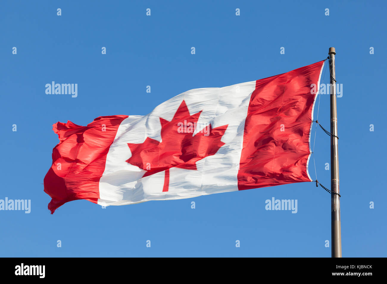 Flag of Canada against a blue sky Stock Photo - Alamy