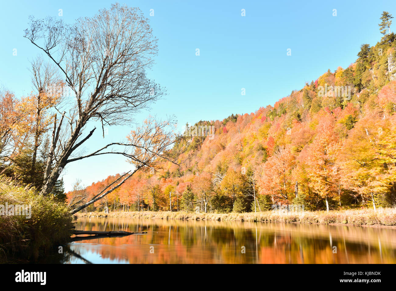 Adirondacks Peak Fall Foliage in upstate New York along the Ausable ...