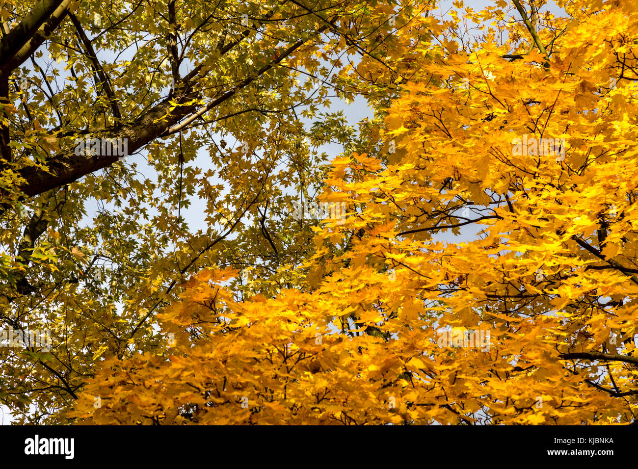 Season contrast hi-res stock photography and images - Alamy