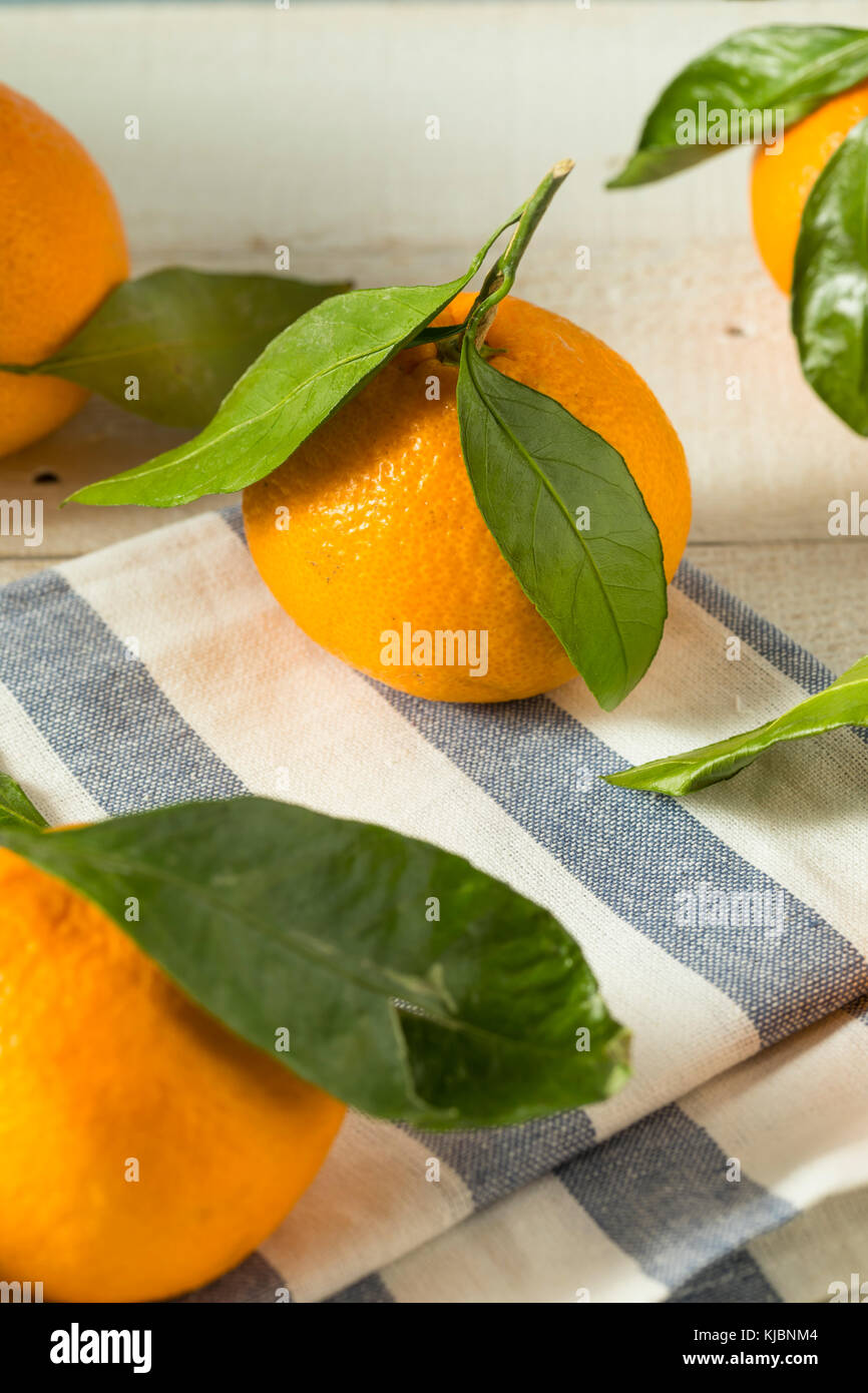 Satsuma With Leaves Stock Photos & Satsuma With Leaves Stock Images - Alamy
