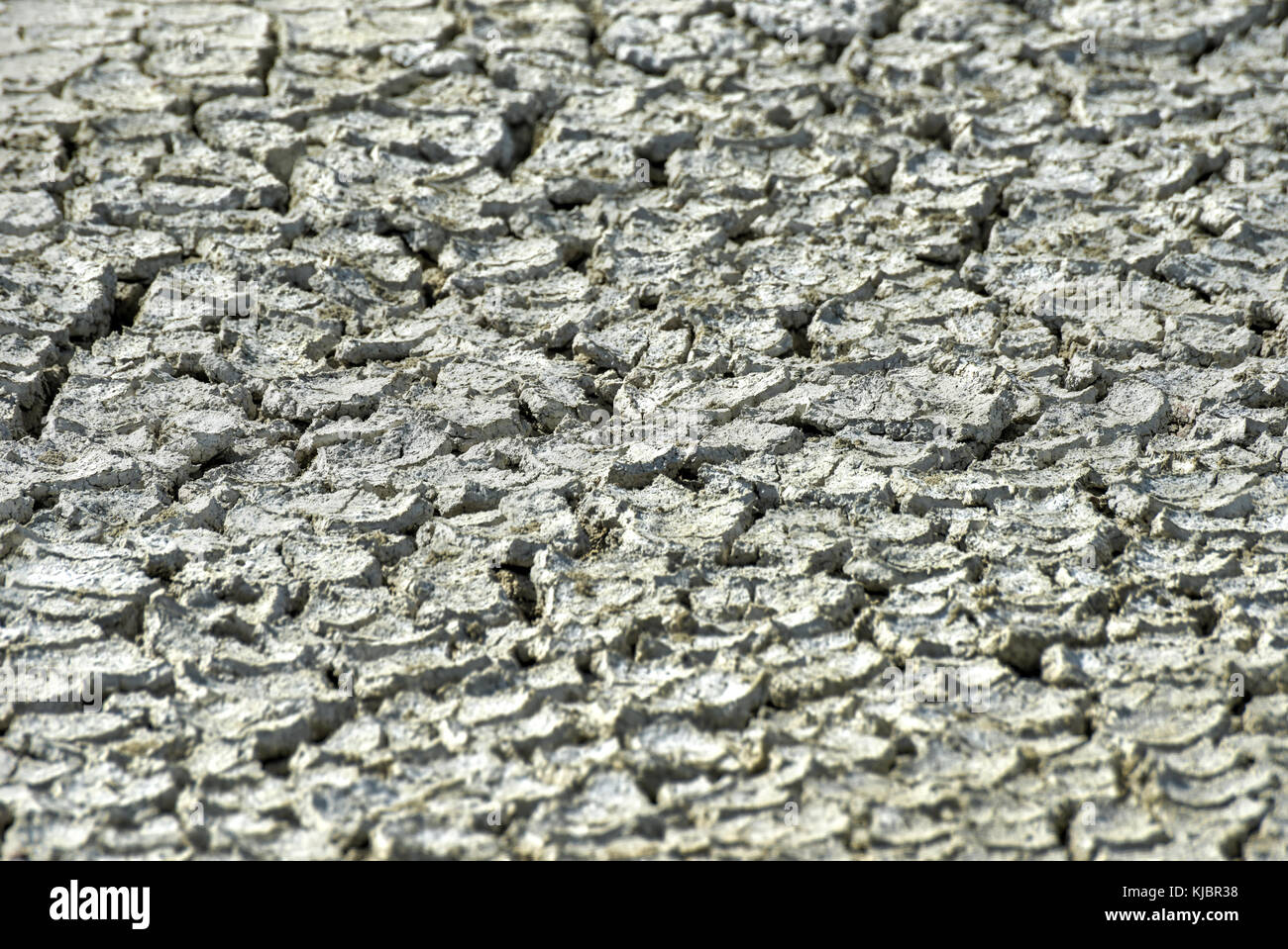 The dry etosha pan is a large endorheic salt pan hi-res stock ...