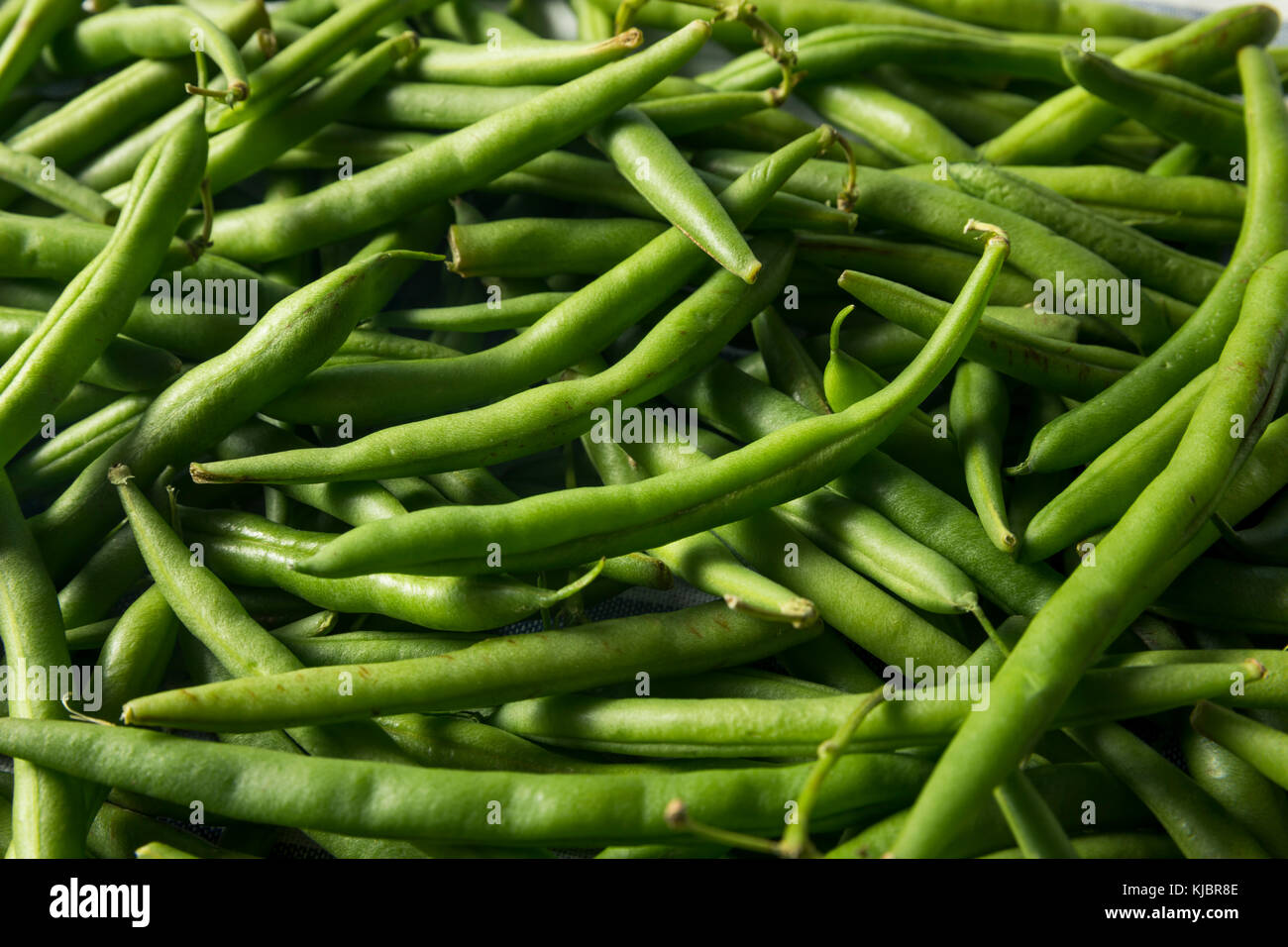 Healthy Raw Organic Green Beans Ready to Cook Stock Photo - Alamy