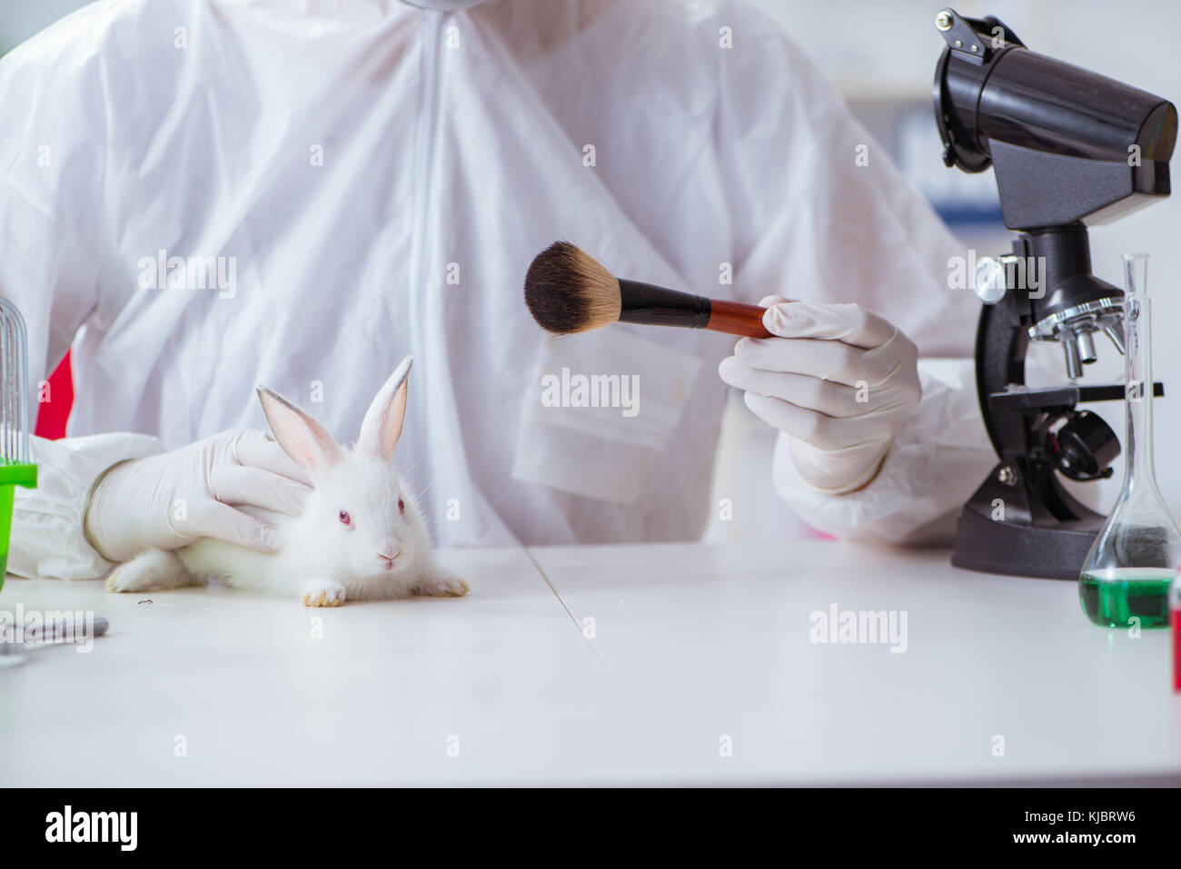 White rabbit in scientific lab experiment Stock Photo - Alamy