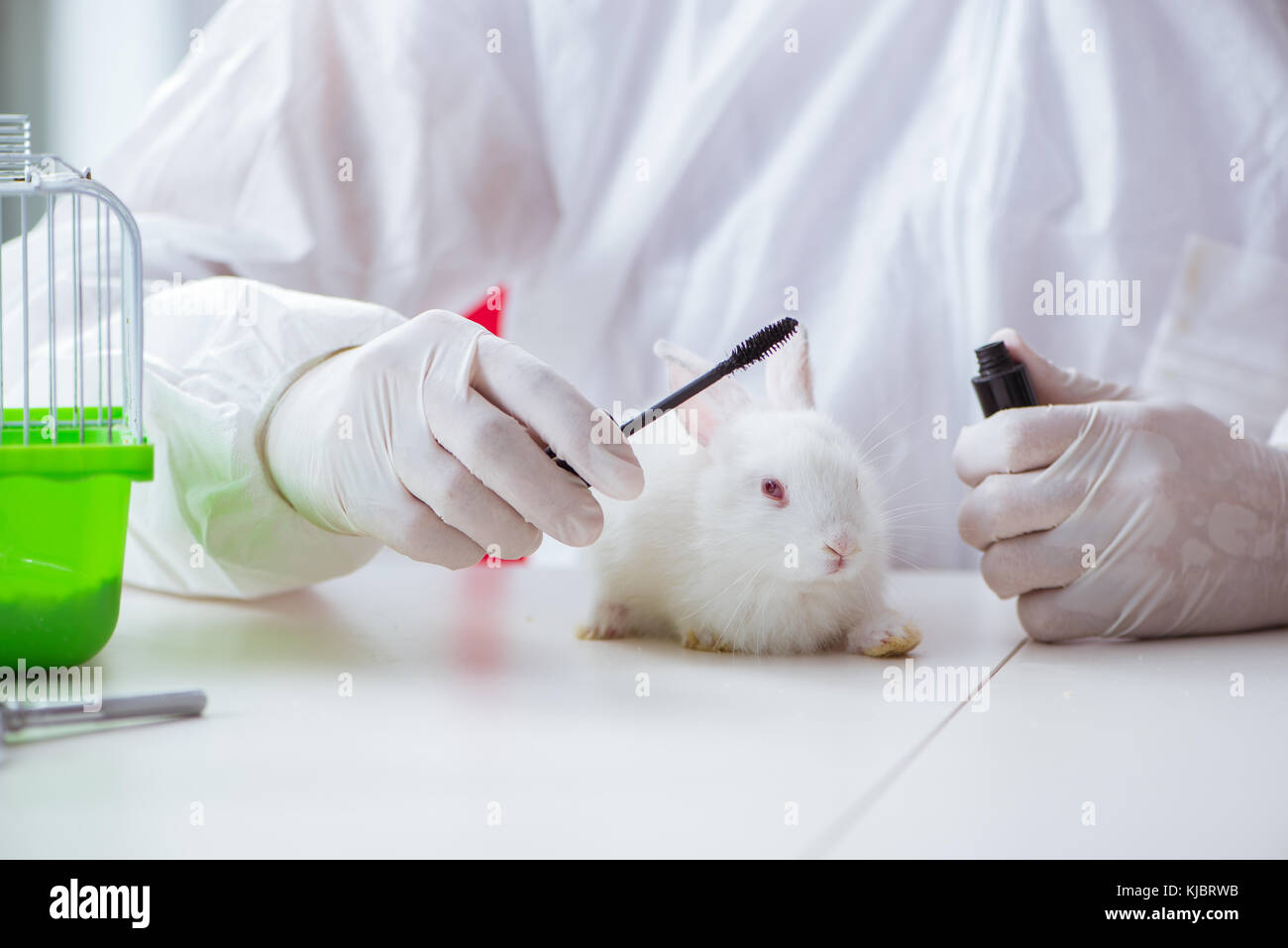 White rabbit in scientific lab experiment Stock Photo - Alamy