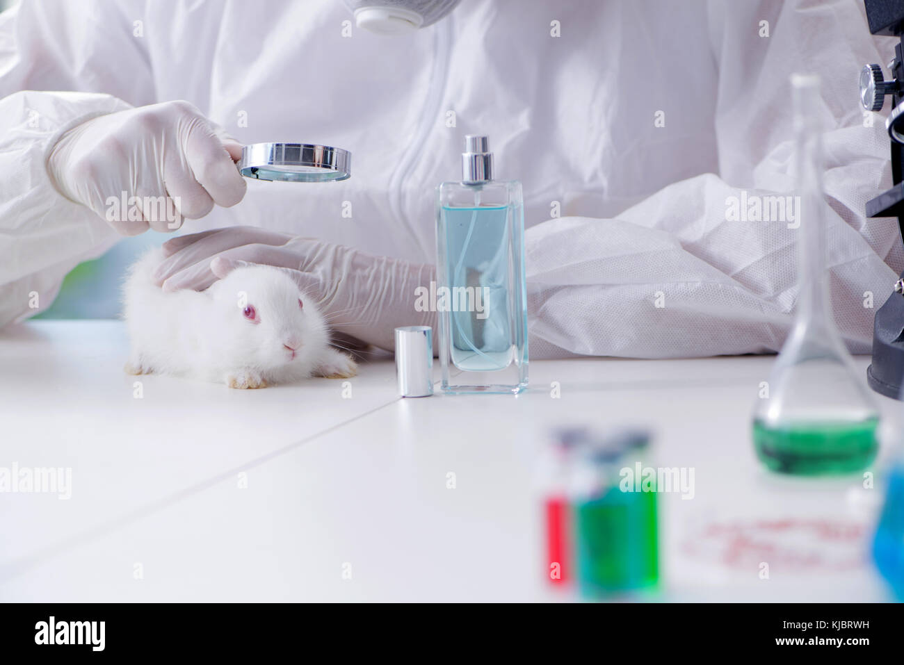White rabbit in scientific lab experiment Stock Photo - Alamy