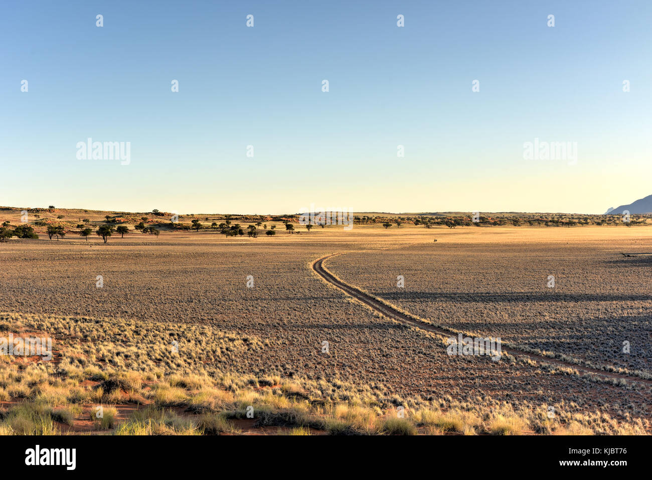 Desert landscape in the NamibRand Nature Reserve in Namibia Stock Photo ...