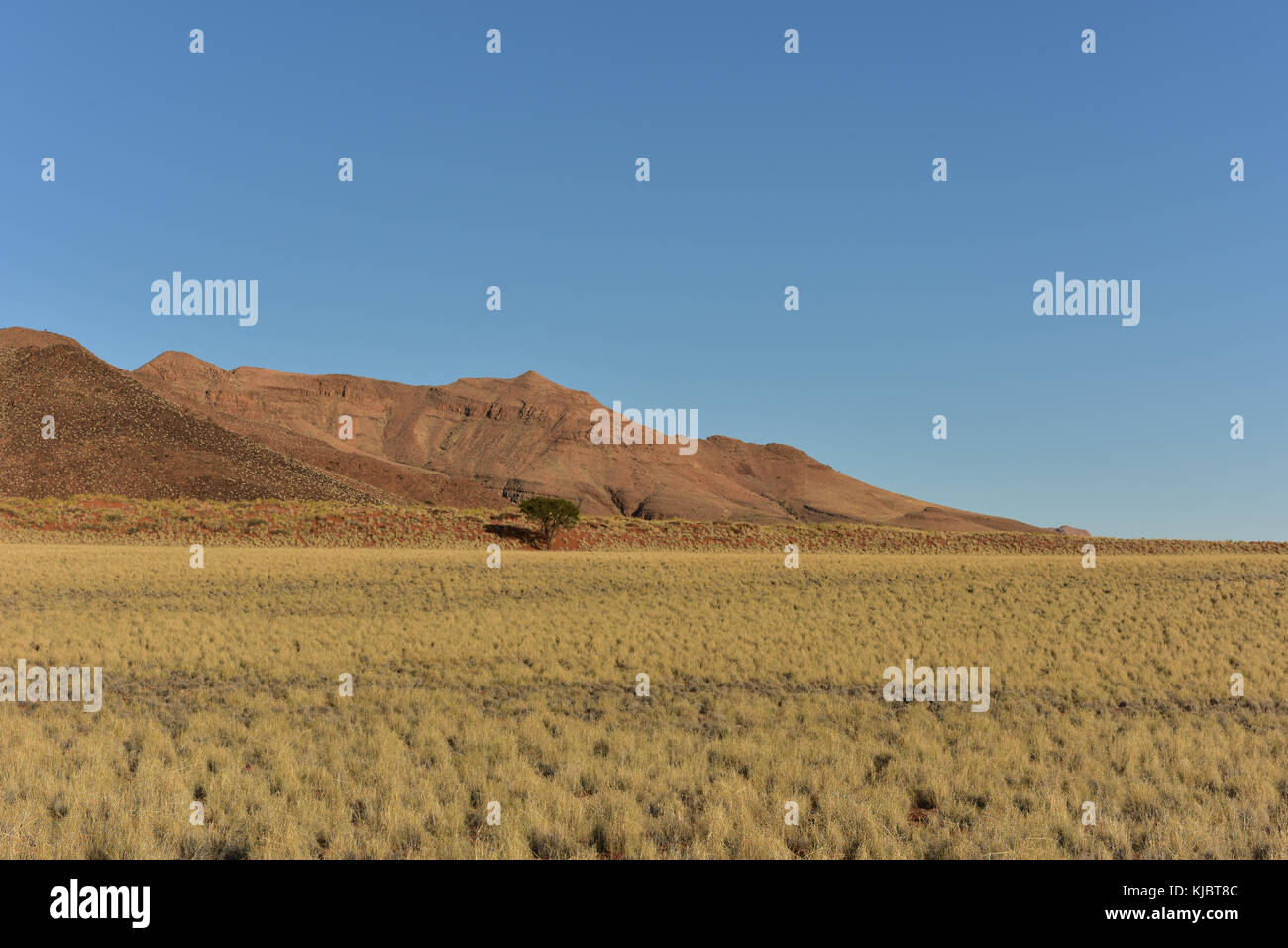 Desert landscape in the NamibRand Nature Reserve in Namibia Stock Photo ...