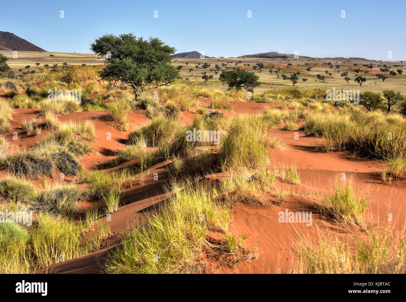 Desert landscape in the NamibRand Nature Reserve in Namibia Stock Photo ...