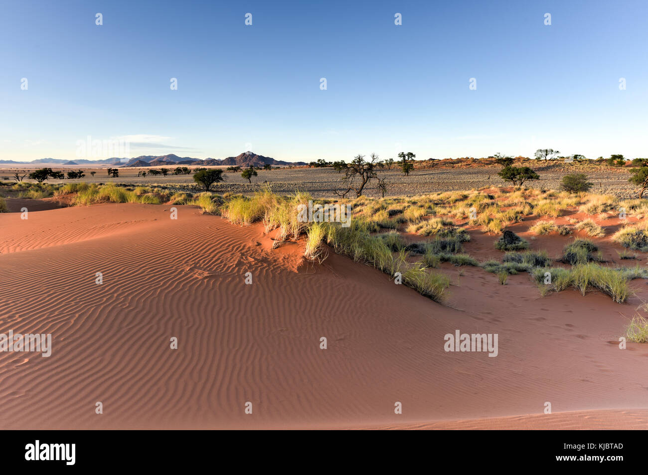 Desert landscape in the NamibRand Nature Reserve in Namibia Stock Photo ...