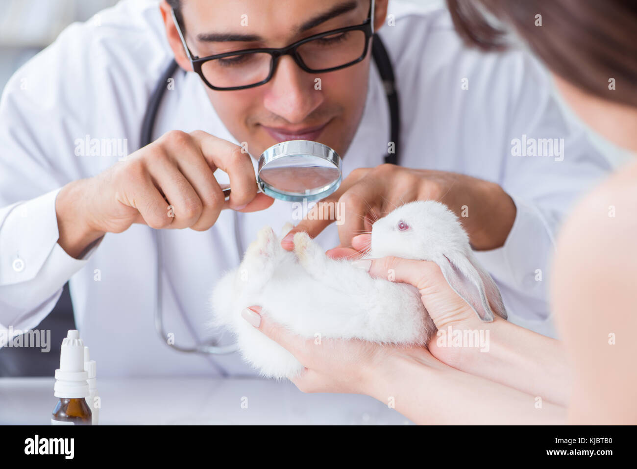 Woman with pet rabbit visiting vet doctor Stock Photo - Alamy