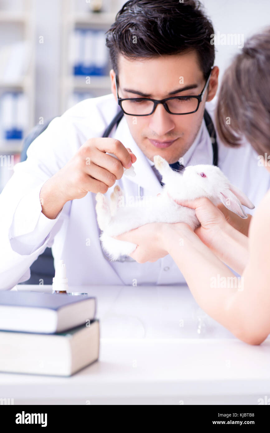 Woman with pet rabbit visiting vet doctor Stock Photo - Alamy