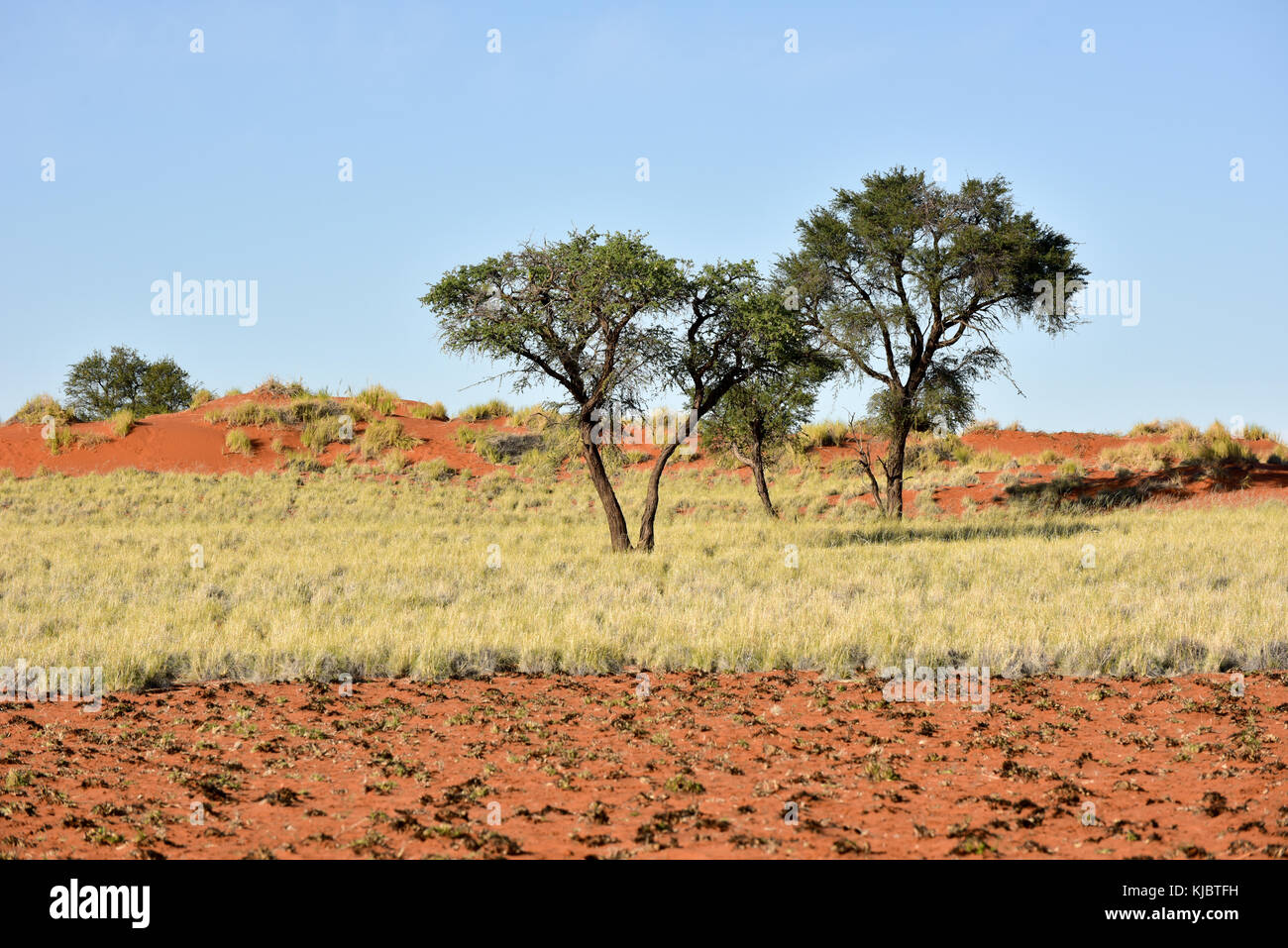 Desert landscape in the NamibRand Nature Reserve in Namibia Stock Photo ...