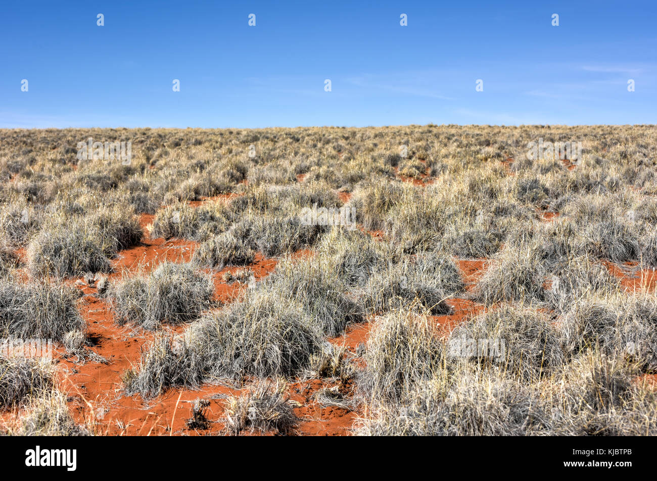 Desert landscape in the NamibRand Nature Reserve in Namibia Stock Photo ...