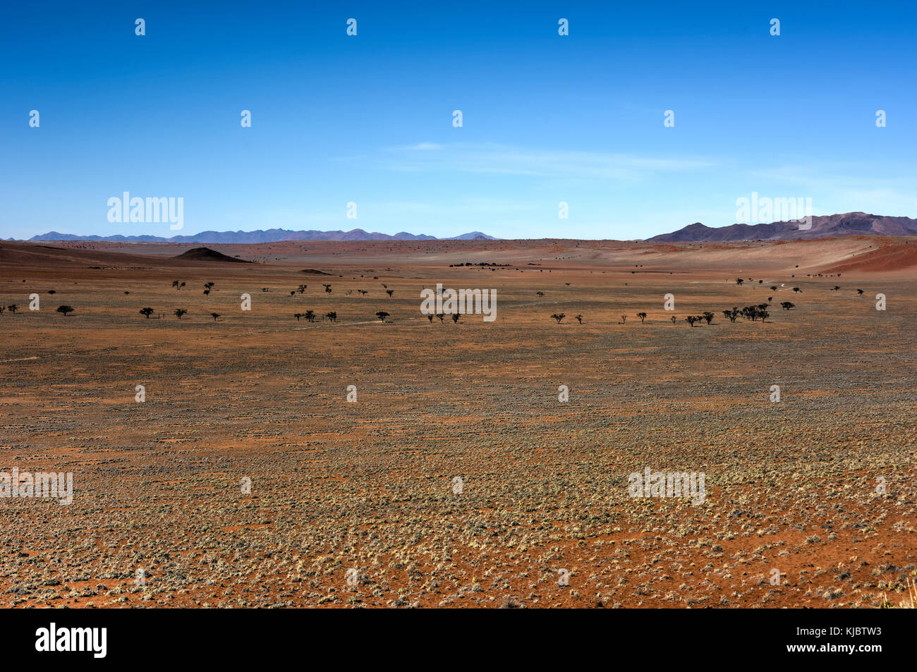 Fairy circles, located in the Namib Desert, in the Namib-Naukluft ...