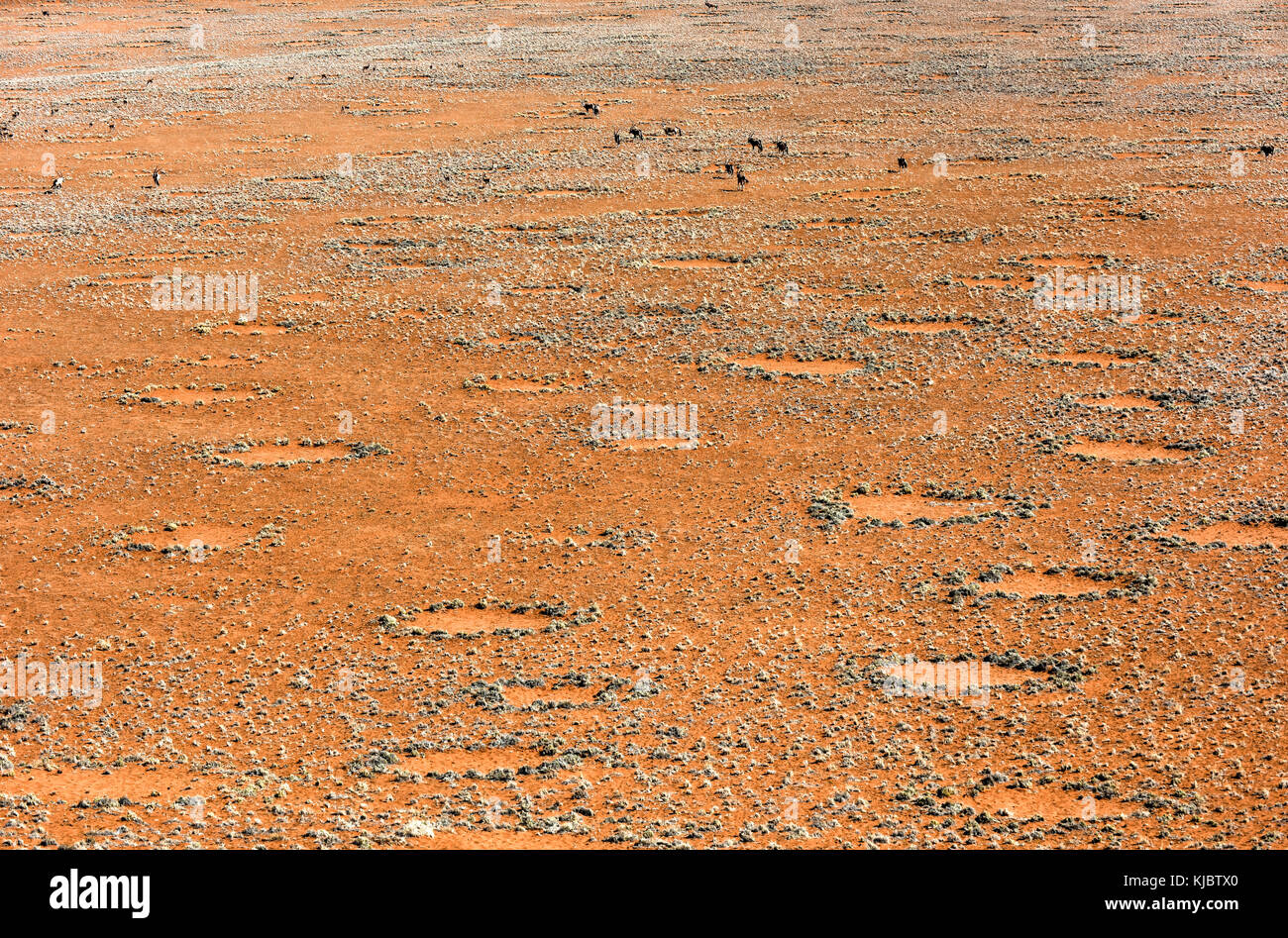 Fairy circles, located in the Namib Desert, in the Namib-Naukluft ...