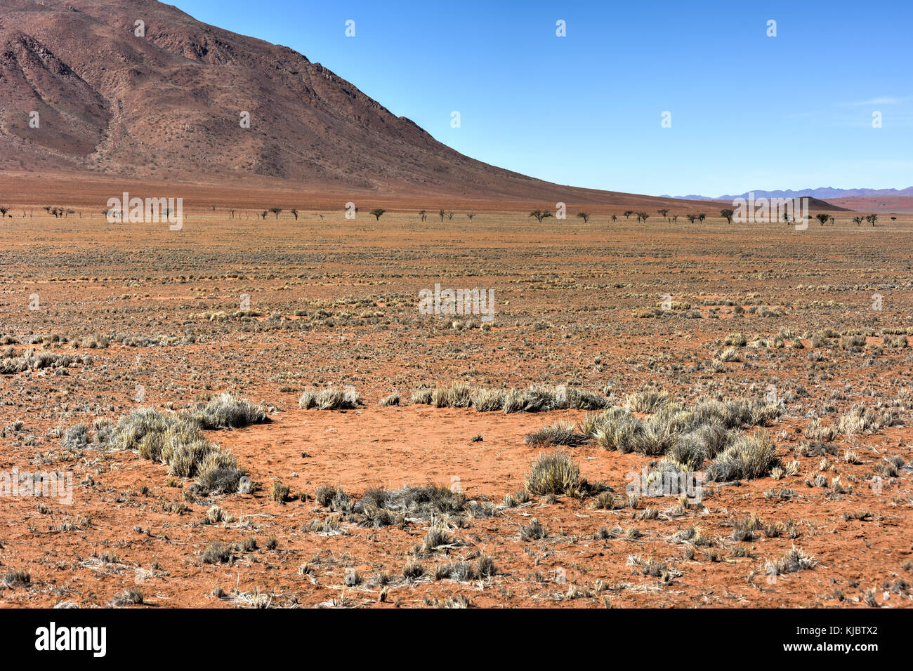 Fairy circles, located in the Namib Desert, in the Namib-Naukluft ...