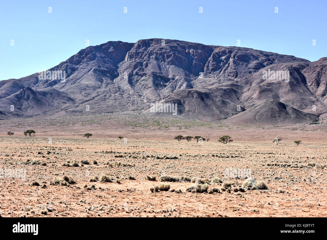 Fairy circles, located in the Namib Desert, in the Namib-Naukluft ...