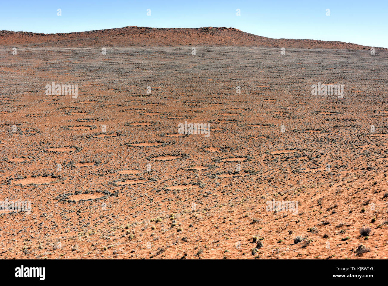Fairy circles, located in the Namib Desert, in the Namib-Naukluft ...