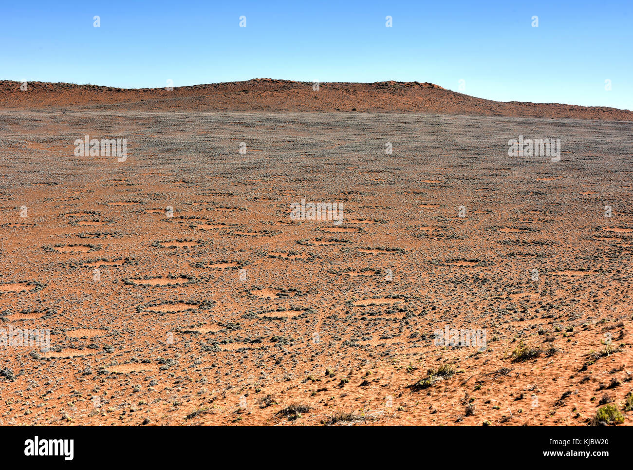 Fairy circles, located in the Namib Desert, in the Namib-Naukluft ...