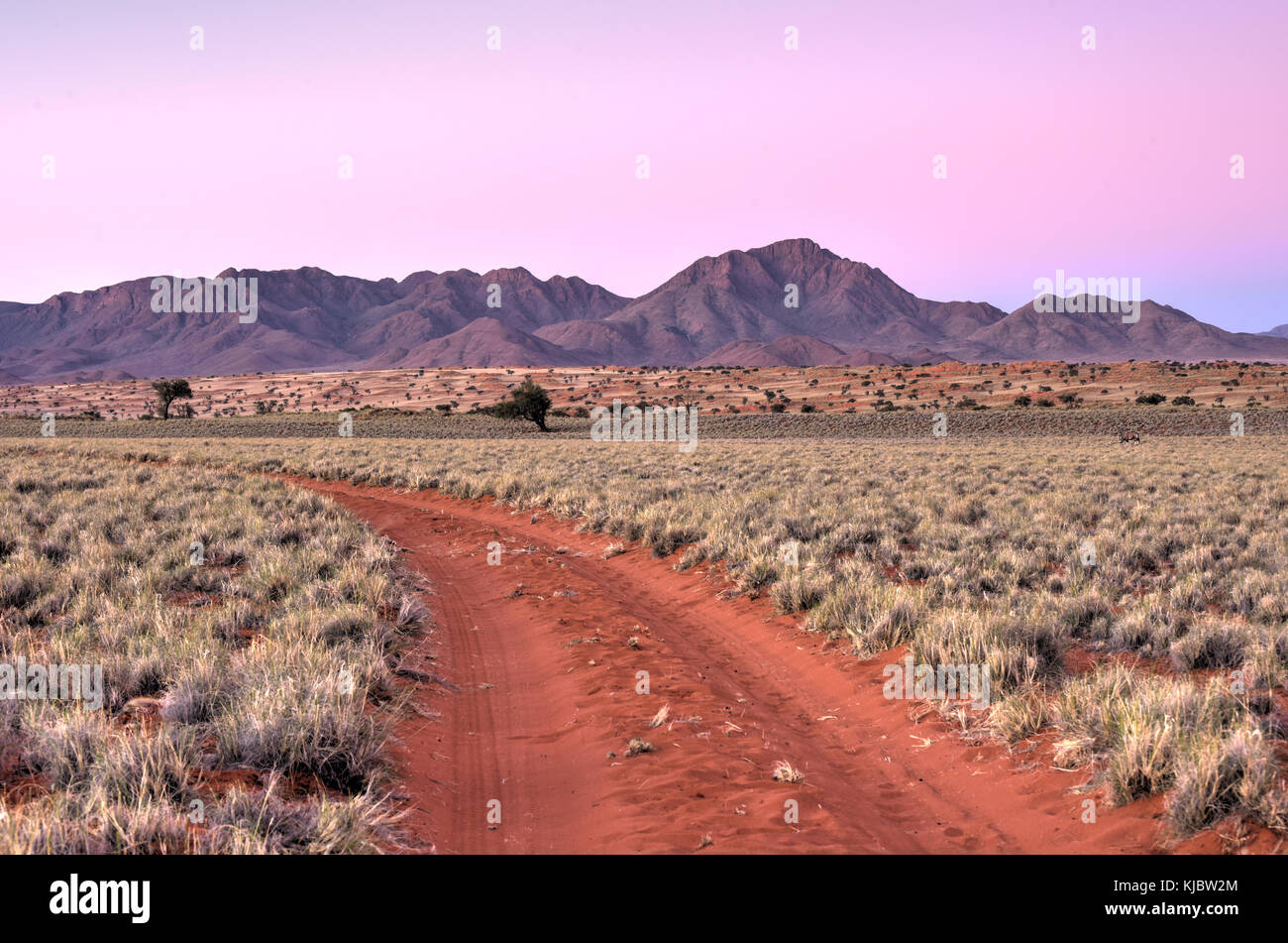 Desert landscape in the NamibRand Nature Reserve in Namibia Stock Photo ...