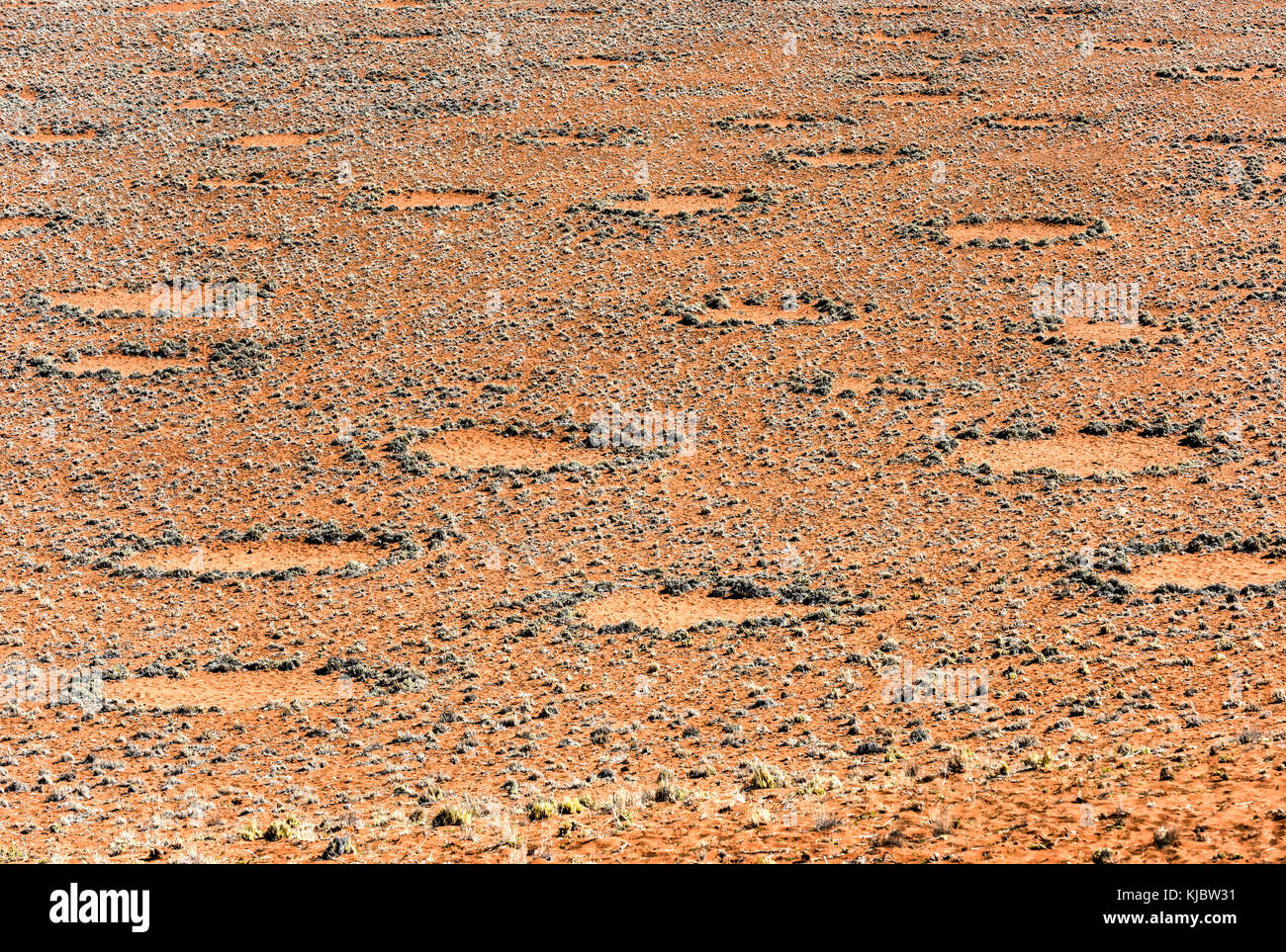 Fairy circles, located in the Namib Desert, in the Namib-Naukluft ...