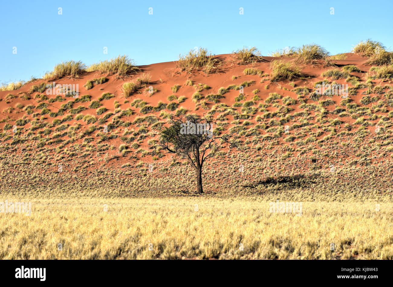 Desert landscape in the NamibRand Nature Reserve in Namibia Stock Photo ...