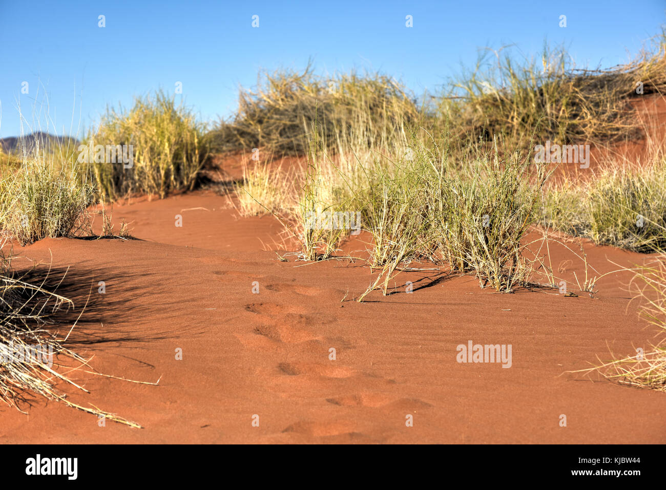 Desert landscape in the NamibRand Nature Reserve in Namibia Stock Photo ...