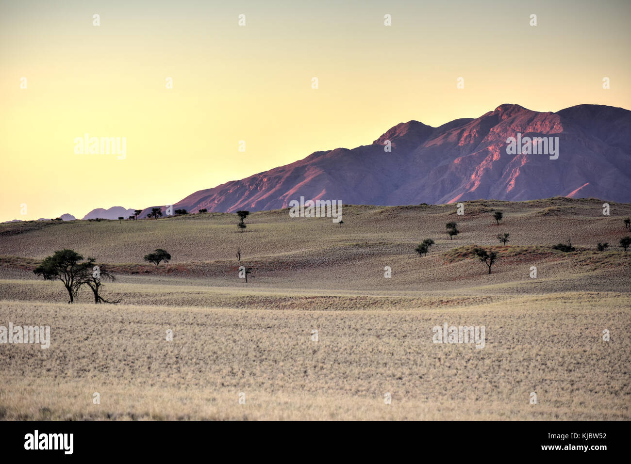 Desert landscape in the NamibRand Nature Reserve in Namibia Stock Photo ...