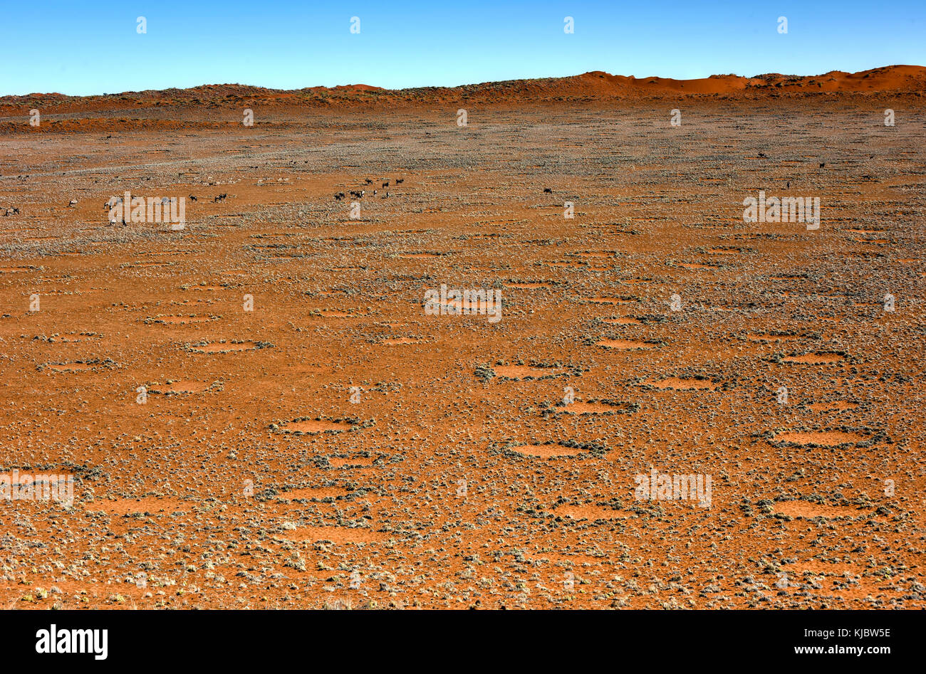 Fairy circles, located in the Namib Desert, in the Namib-Naukluft ...