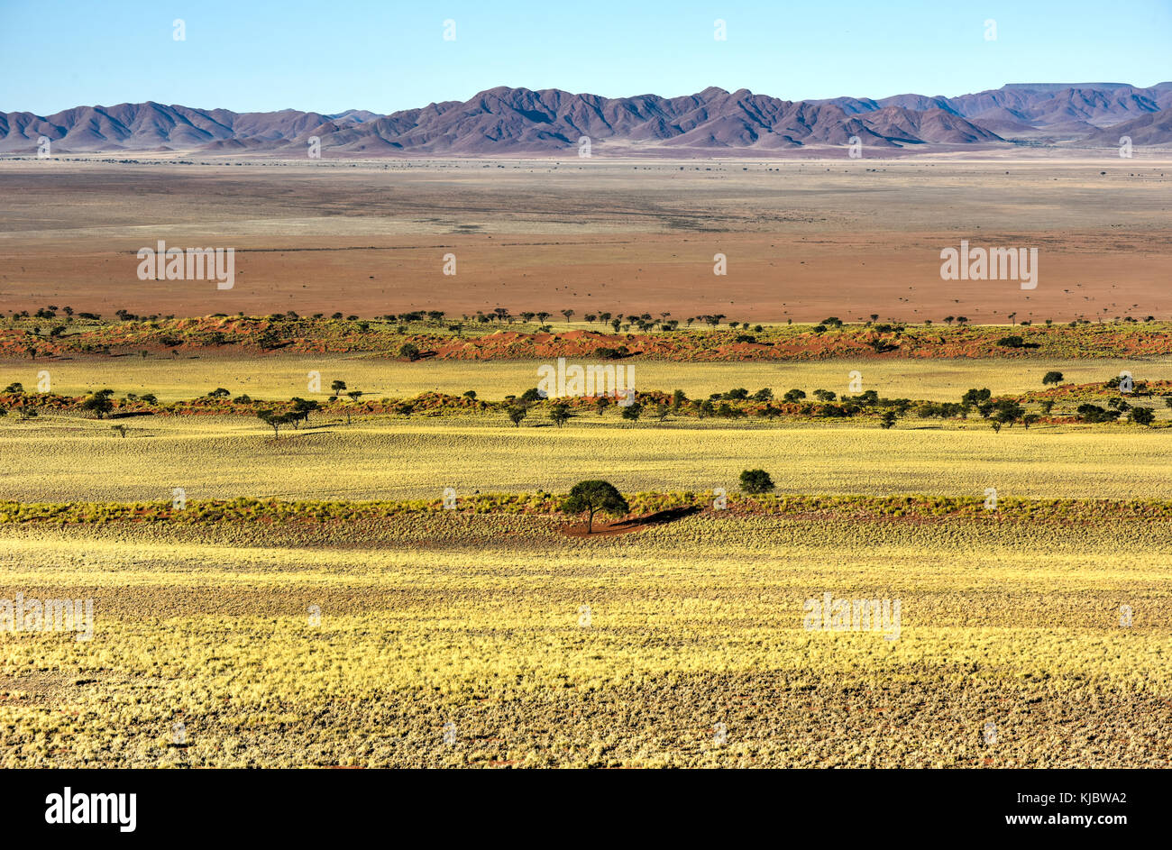 Desert landscape in the NamibRand Nature Reserve in Namibia Stock Photo ...