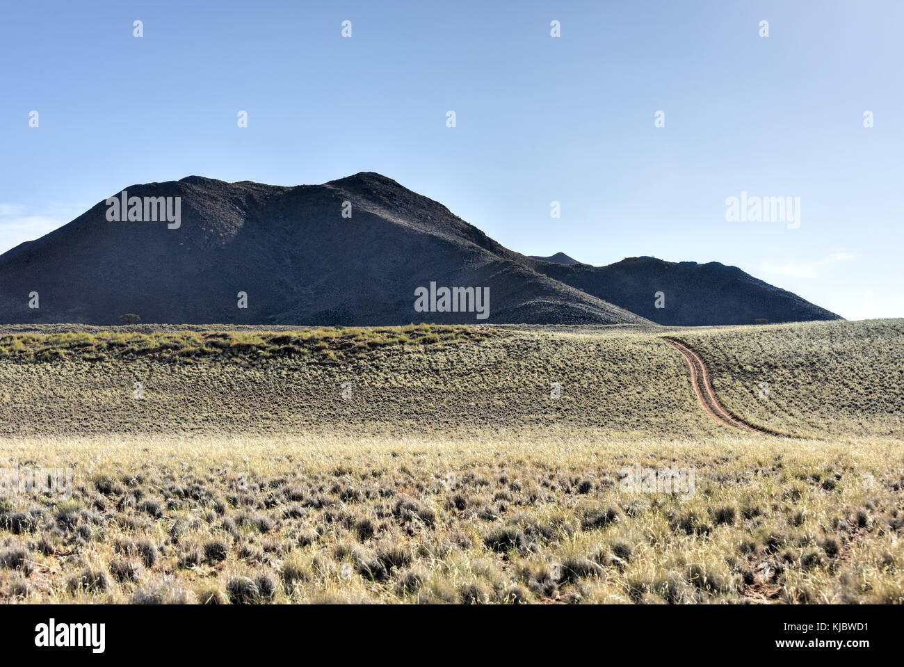 Desert landscape in the NamibRand Nature Reserve in Namibia Stock Photo ...