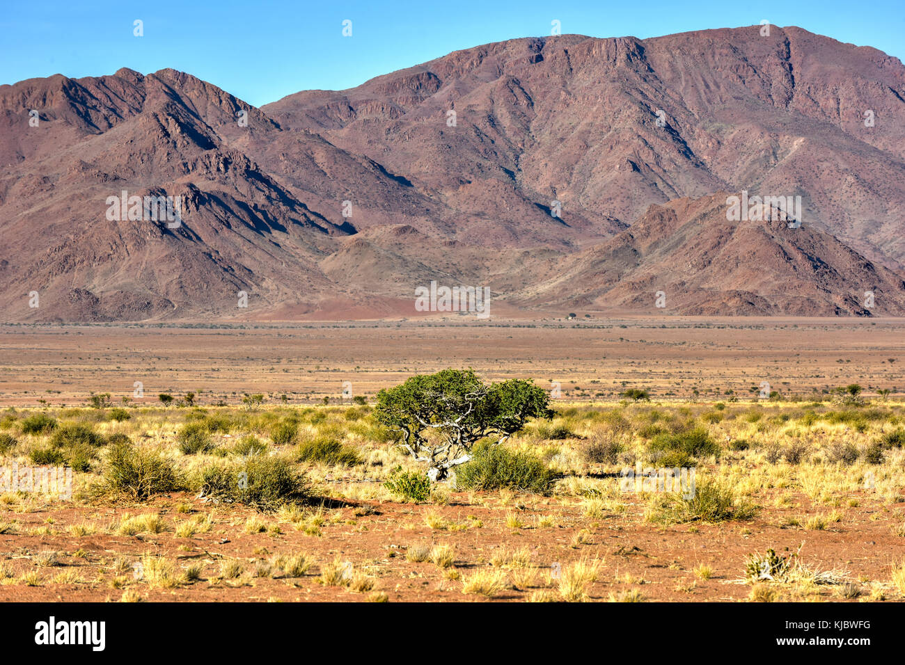 Desert landscape in the NamibRand Nature Reserve in Namibia Stock Photo ...