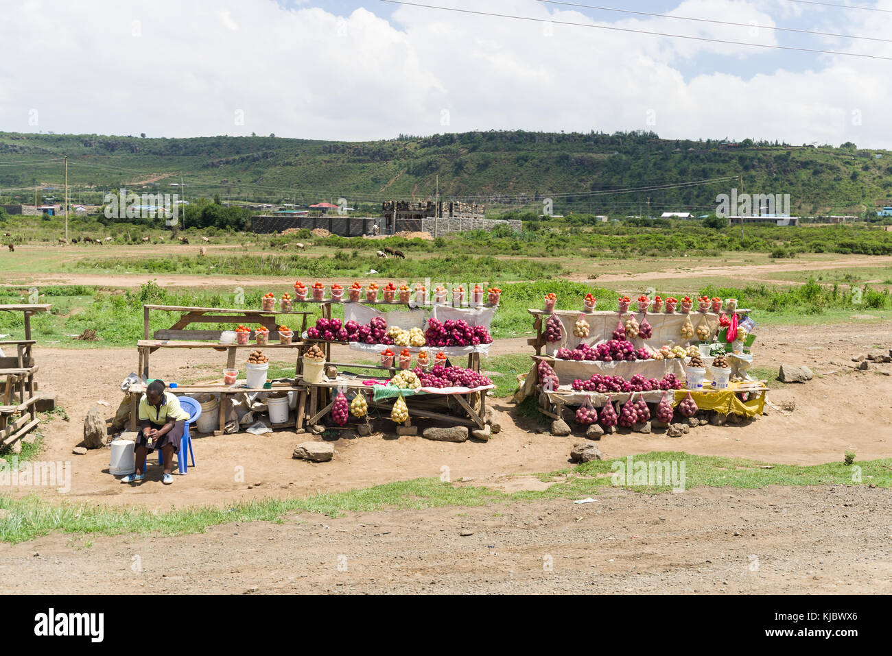 An African woman sits by her stall with fruit and vegetables on sale by ...