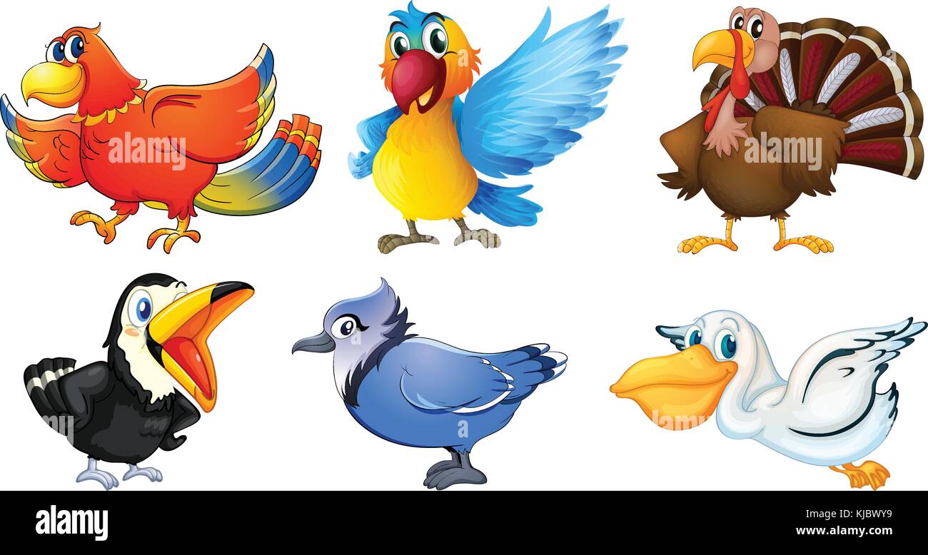 Two different bird species Stock Vector Images - Alamy