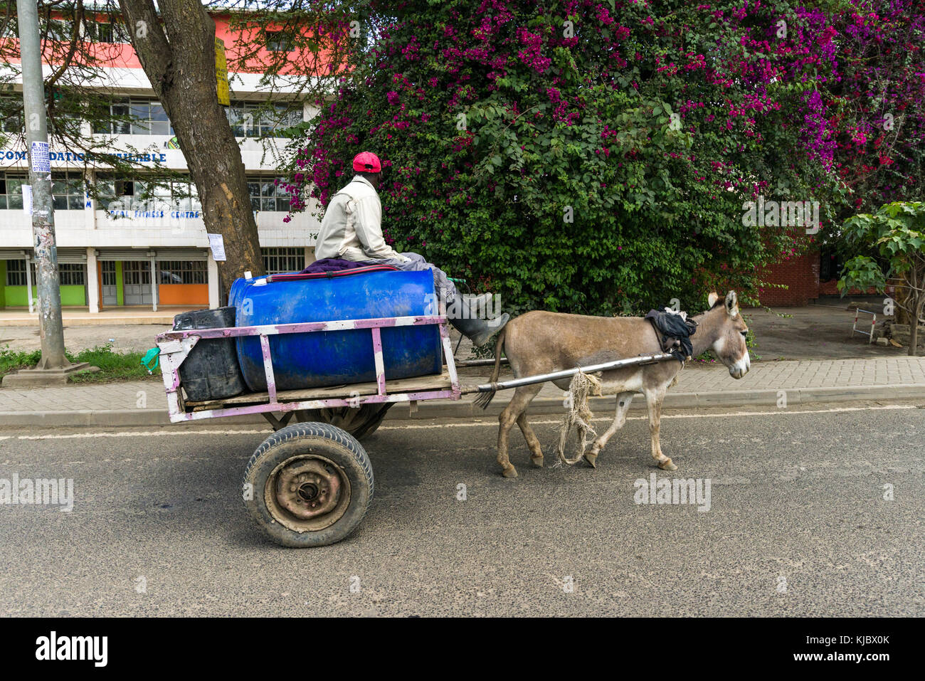 Donkey cart kenya africa hi-res stock photography and images - Alamy