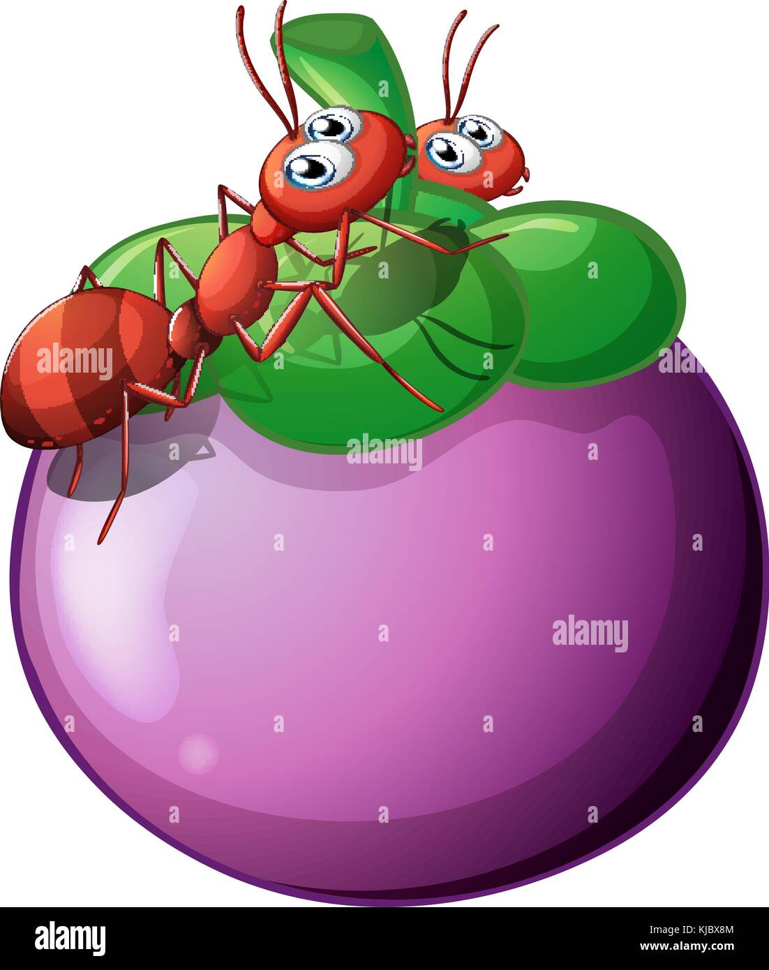 Illustration of the two ants and the violet fruit on a white background ...