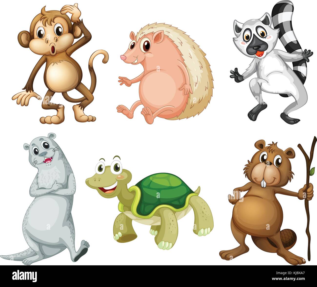 Illustration of the six different kinds of wild animals on a white ...