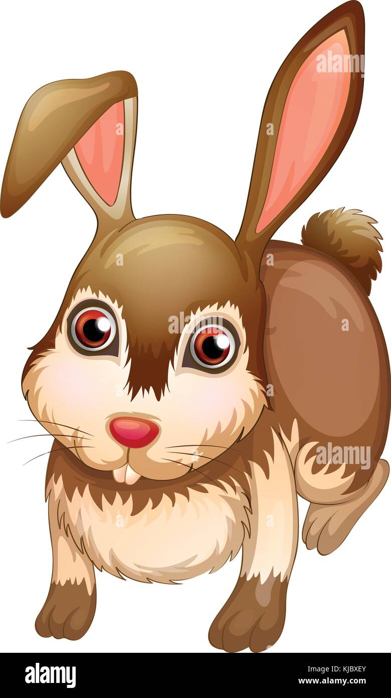 Illustration of a big brown bunny on a white background Stock Vector ...