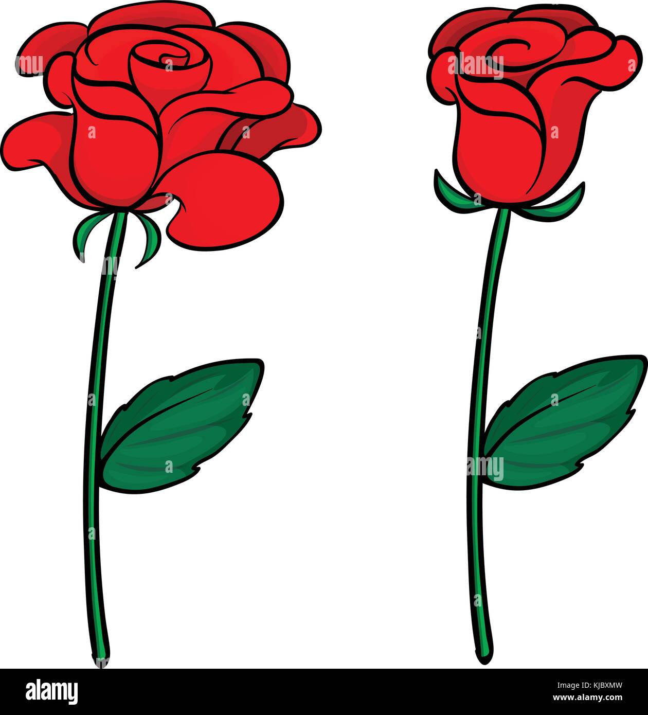 Illustration of two red roses on a white background Stock Vector Image ...